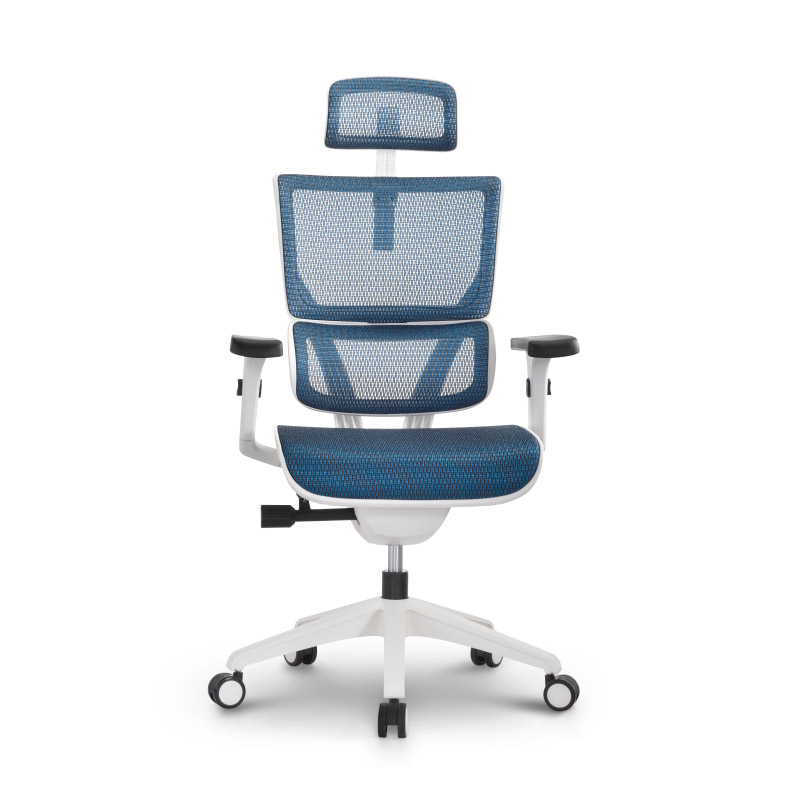 Ergonomic Office Task Chair For Neck Pain | Hookay Chair