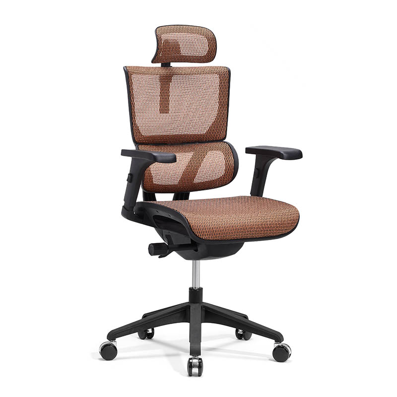 Ergonomic Office Task Chair For Neck Pain | Hookay Chair