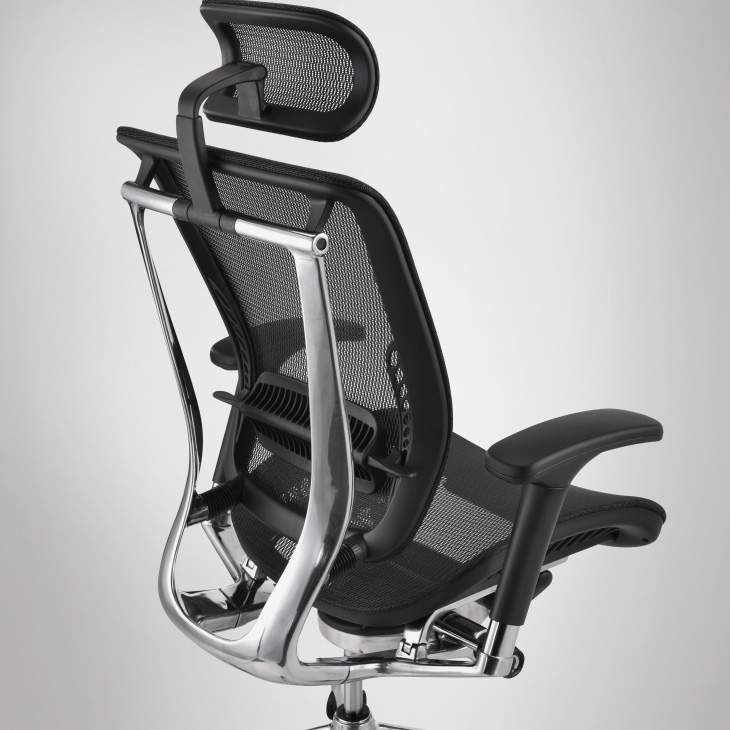 Hookay Ergonomic Mesh Executive Chair With Aluminum Mechanism