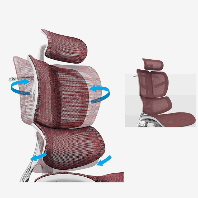 Hookay Luxury Ergonomic Executive Chair With Dynamic Back